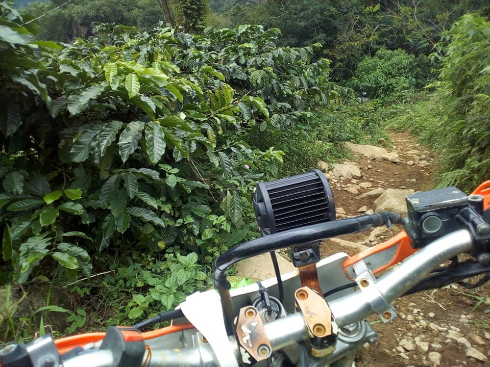 Wisata Trekking Menuju Curug dan Kebun Kopi Cisadon