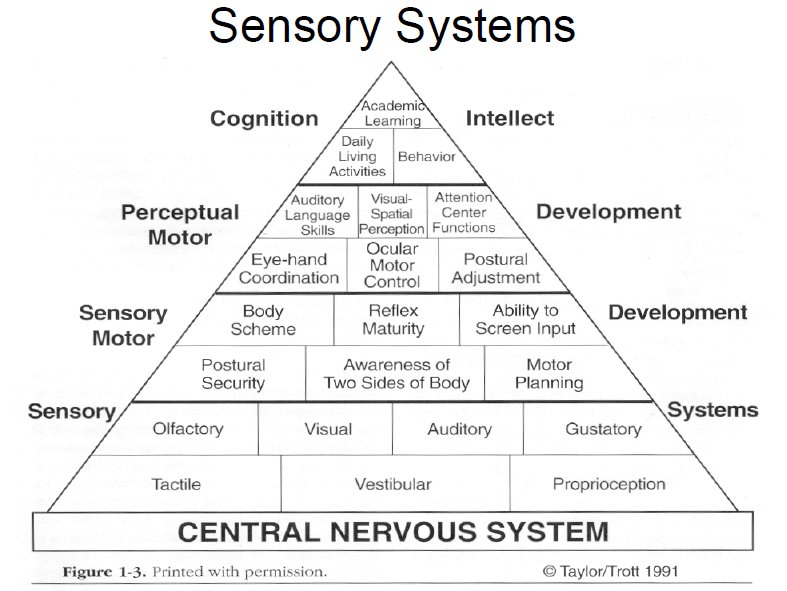 Gangguan Sensori Integrasi? Apakah itu?